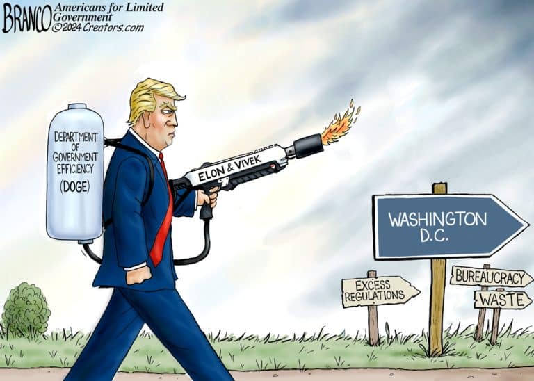 Legal Wins for Trump and DOGE Team’s Audit of the Federal Government ...