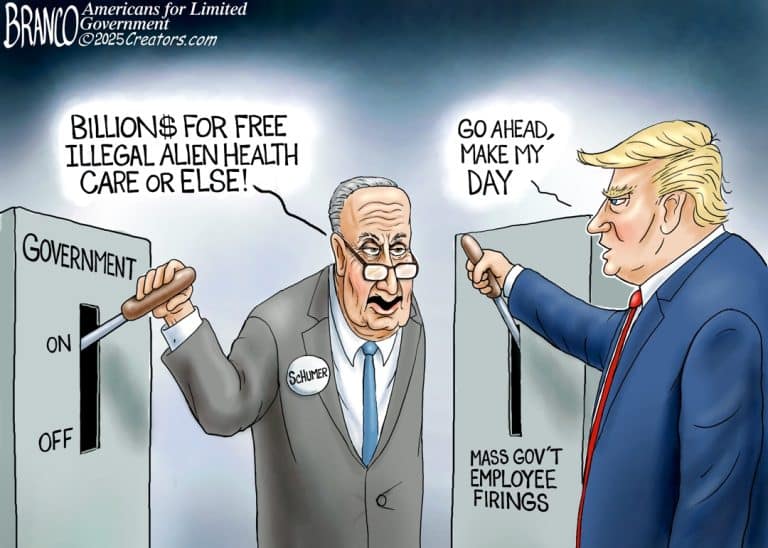 Democrats Are Running Out Of Cards On The Government Shutdown To Nowhere