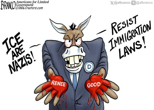 Cartoon: Cause And Effect